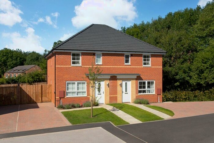 3 Bedroom Semi-Detached House For Sale In Edward Pease Way, West Park ...