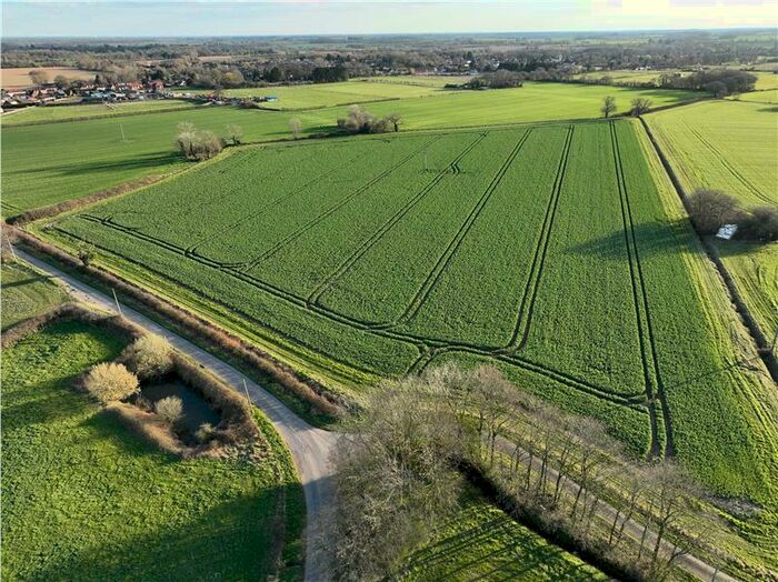 Farm Land For Sale In Elm Farm, Thorpe Row, Shipdham, Thetford, Norfolk ...